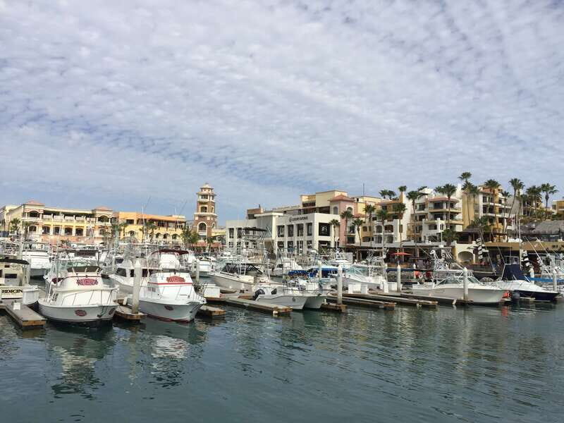 Los Cabos: Half-Day San Lucas and San Jose Tour - What to Consider Before Booking