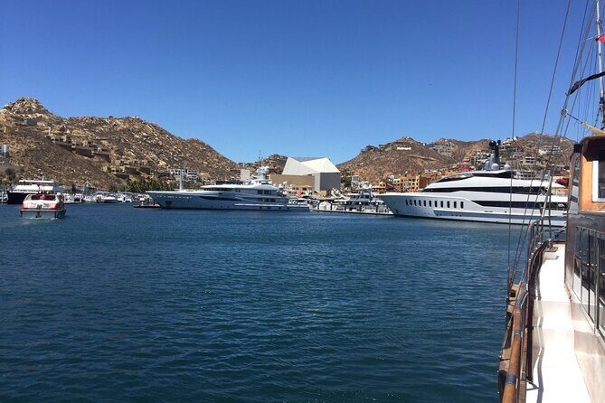 Los Cabos Half-Day Tour Discovering San Jose and San Lucas - Frequently Asked Questions