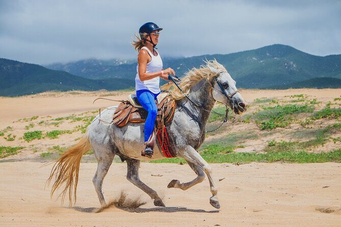 Los Cabos Horseback Riding - The Practical Side: Logistics and Value