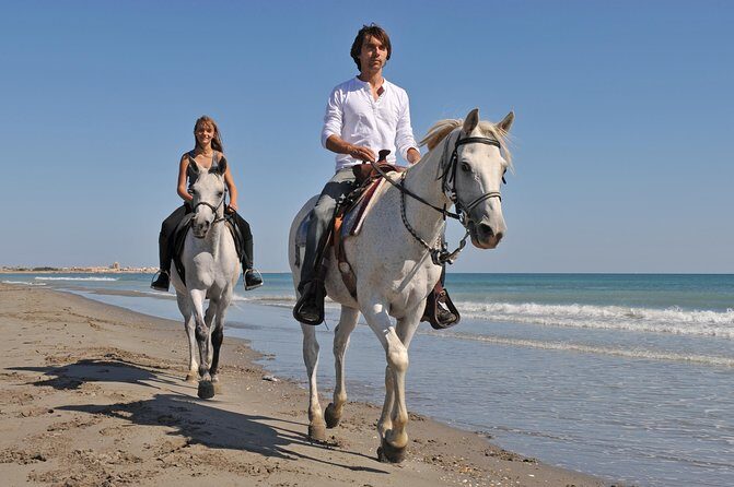 Los Cabos Horseback Riding - What Reviews Say About the Experience