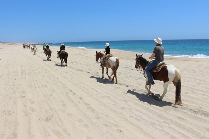 Los Cabos Horseback Riding - Who Should Consider This Tour?