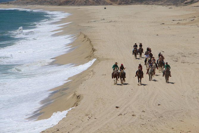 Los Cabos Horseback Riding - FAQs
