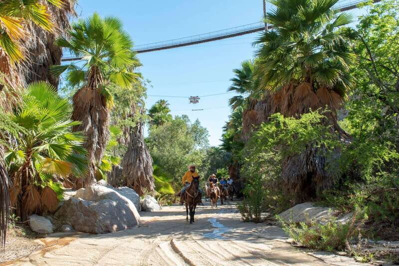 Los Cabos: Horseback Riding in Canyon a Mexican Experience - Who Will Love This Tour?