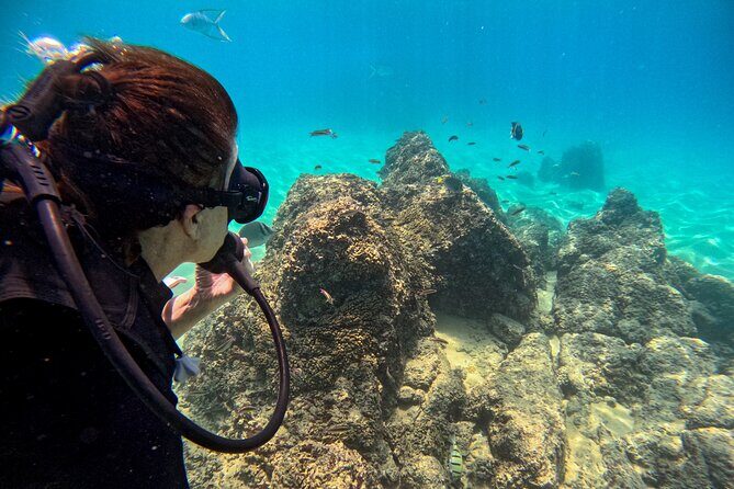 Los Cabos Open Water Diver Course - Key Points