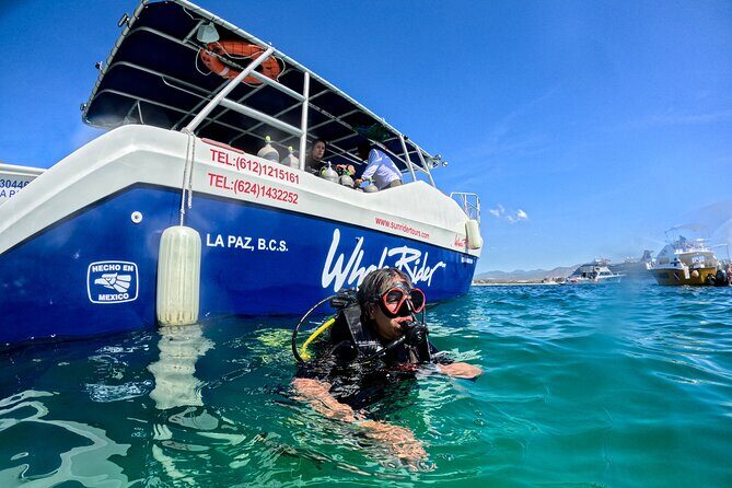 Los Cabos Open Water Diver Course - FAQ