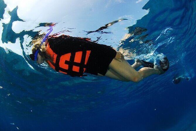 Los Cabos Platinum Snorkel Experience - An In-Depth Look at the Los Cabos Platinum Snorkel Experience