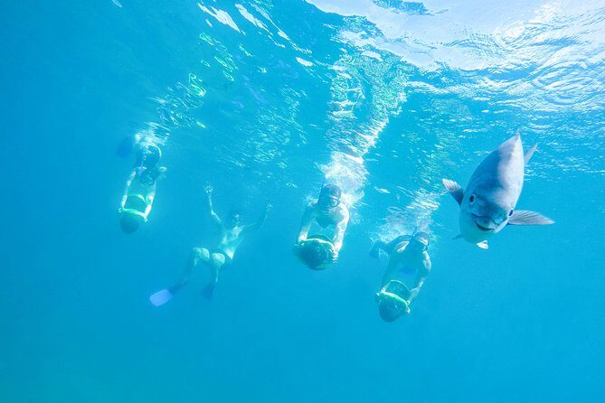 Los Cabos Power snorkel Adventure, Kayaking and Stand-Up Paddle - A Closer Look at the Experience