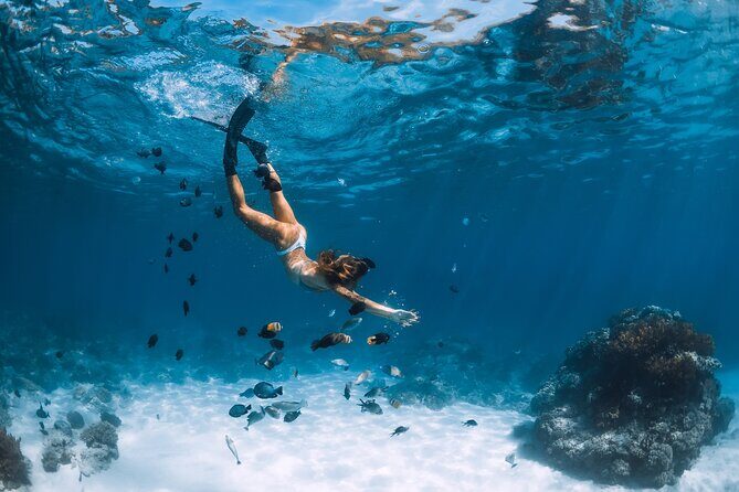 Los Cabos Power snorkel Adventure, Kayaking and Stand-Up Paddle - What Travelers Love (and What to Consider)