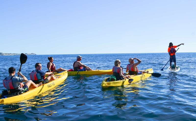 Los Cabos: Private Kayaking and Snorkeling Tour at the Arch - Who Will Love This Tour?