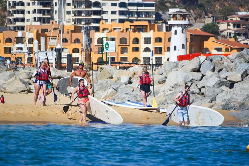 Los Cabos: Private Paddleboarding and Snorkeling Tour - Key Points