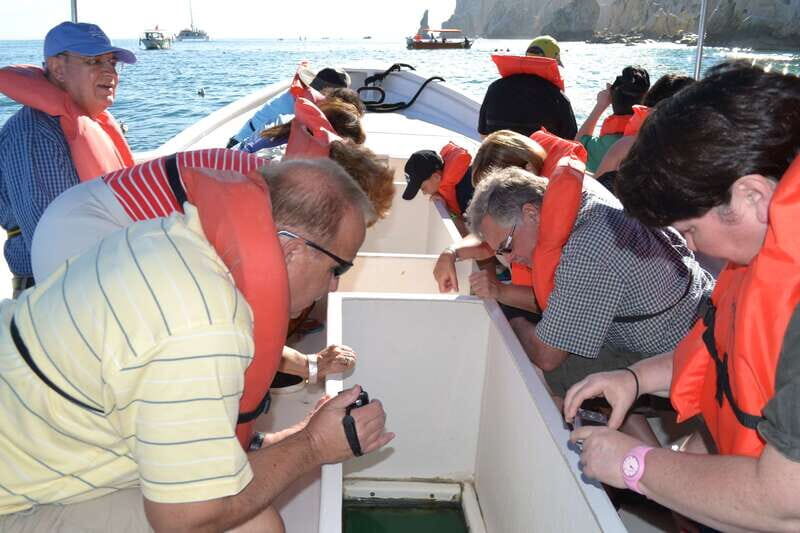 Los Cabos: San Jose and San Lucas Trip with Lunch - Who Will Love This Tour?