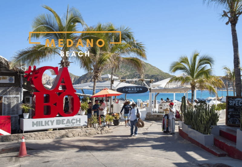 Los Cabos: San Jose del Cabo and Cabo San Lucas Tour - Who Would Love This Tour?