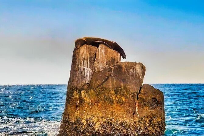 Los Cabos Sightseeing and Cultural Day Trip with Boat Ride - Why This Tour Offers Good Value