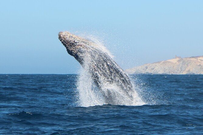 Los Cabos Sightseeing and Cultural Day Trip with Boat Ride - The Sum Up