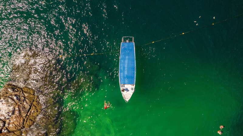 Los Cabos: Snorkel and Marine Life - Key Points