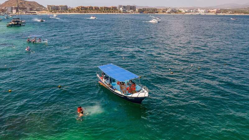 Los Cabos: Snorkel and Marine Life - A Closer Look at the Experience