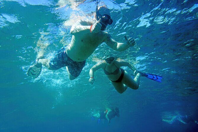 Los Cabos Snorkeling Tour by Speed Boat with Photos Included - An Honest Look at Price and Value