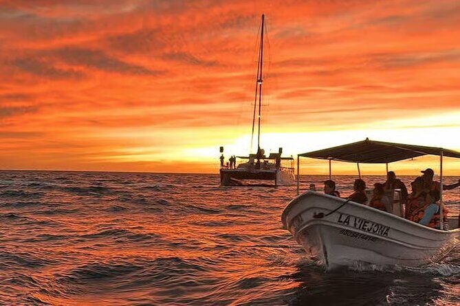 Los Cabos Sunset Boat Tour - An In-Depth Look at the Experience