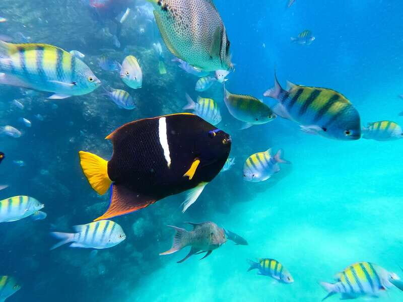 Los Cabos: SUP to The Arch & Snorkel + Transport & Photos - Authenticity and Traveler Perspectives