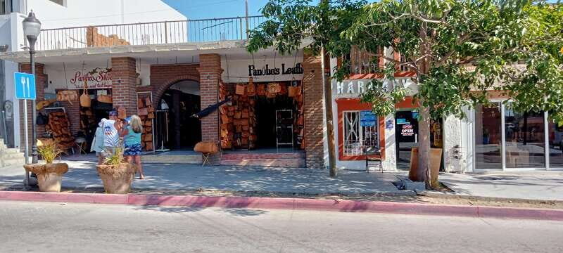 Los Cabos: Todos Santos Pueblo Magico Tour - Who Would Love This Tour?