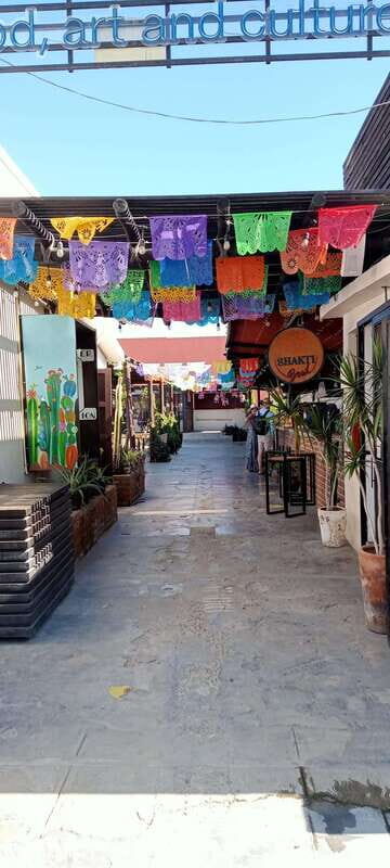 Los Cabos: Todos Santos Pueblo Magico Tour - The Sum Up