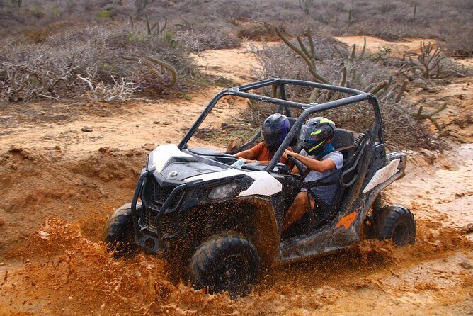 Los Cabos UTV Outdoor Experience to the Hidden Arch - An Adventure in Baja’s Desert and Coastline: The Los Cabos UTV Experience