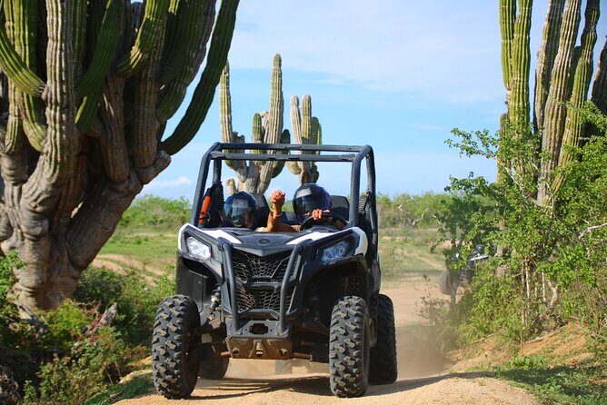 Los Cabos UTV Outdoor Experience to the Hidden Arch - The Practical Side: What to Know Before Booking