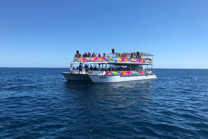 Los Cabos Whale Watching Cruise Including Breakfast - Final Thoughts