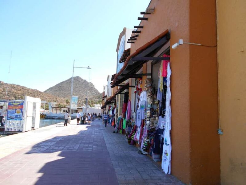 Los Cabos: Whale Watching Tour with Tequila Tasting - Final Words