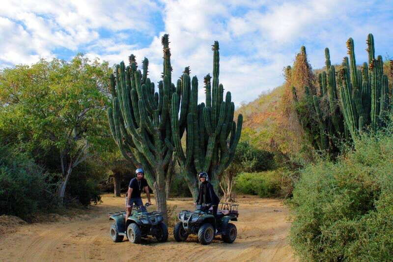Los cabos:ATV beach&desert with transfer & tequila tasting - What Does It All Mean for You?