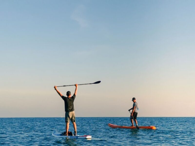Los Cristianos : 1 Hour of Paddle surf Rental - Key Points