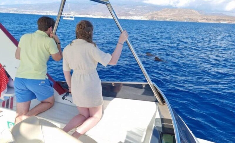 Los Cristianos: Eco-Yacht Whale Watching Cruise with Swim - FAQs