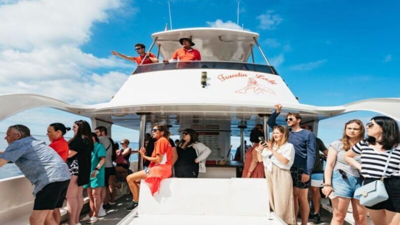 Los Cristianos: Eco Yacht Whale Watching Tour at Sunset - Key Points