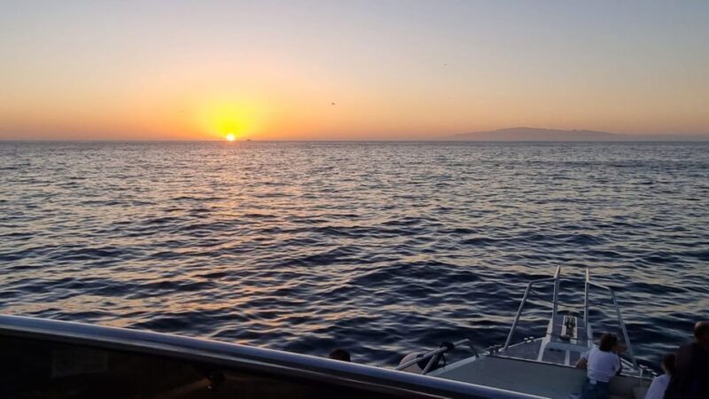 Los Cristianos: Eco Yacht Whale Watching Tour at Sunset - The Sunset: A Visual Feast