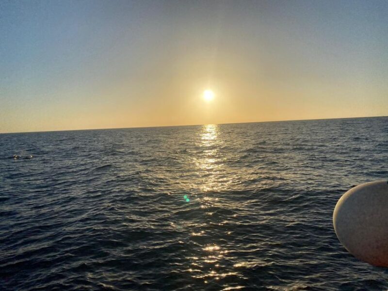 Los Cristianos: Eco Yacht Whale Watching Tour at Sunset - Final Thoughts – Who Will Love This Experience?