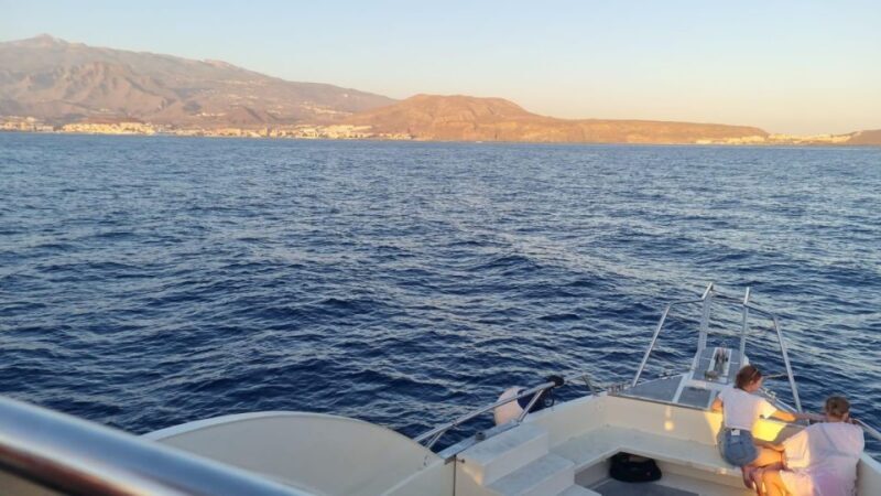 Los Cristianos: Eco Yacht Whale Watching Tour at Sunset - Frequently Asked Questions