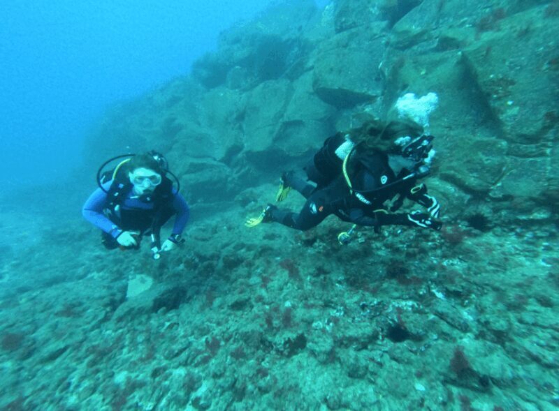Los Cristianos: Try Dive for beginners - The Value of This Experience