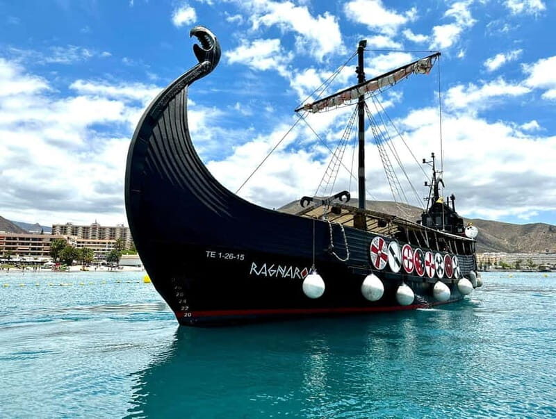 Los Cristianos: Whale Watching Cruise w/Swim Stop & Drinks - Who Will Love This Tour?