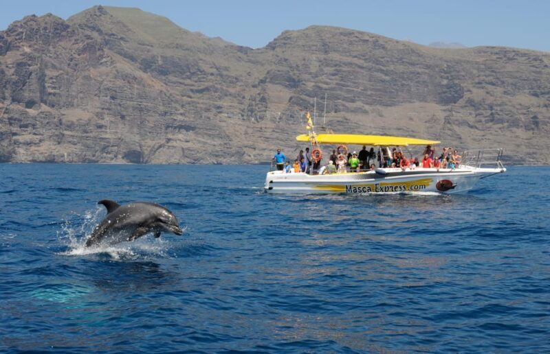 Los Gigantes: Dolphin & Whale Watching Cruise with Swim Stop - An In-Depth Look at the Experience