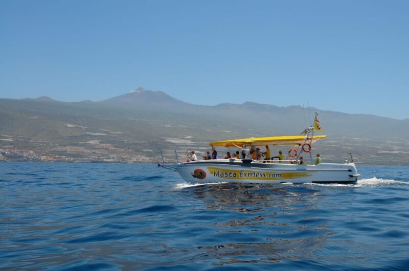 Los Gigantes: Dolphin & Whale Watching Cruise with Swim Stop - Analyzing the Value