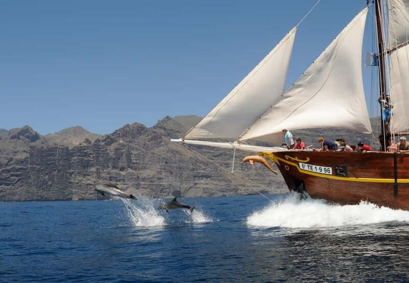 Los Gigantes: Dolphin & Whale Watching Tour on a Pirate Boat - Key Points