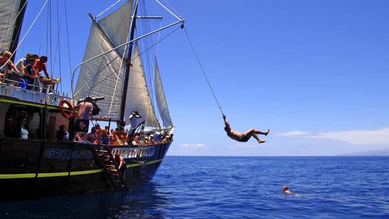 Los Gigantes: Dolphin & Whale Watching Tour on a Pirate Boat - The Sum Up