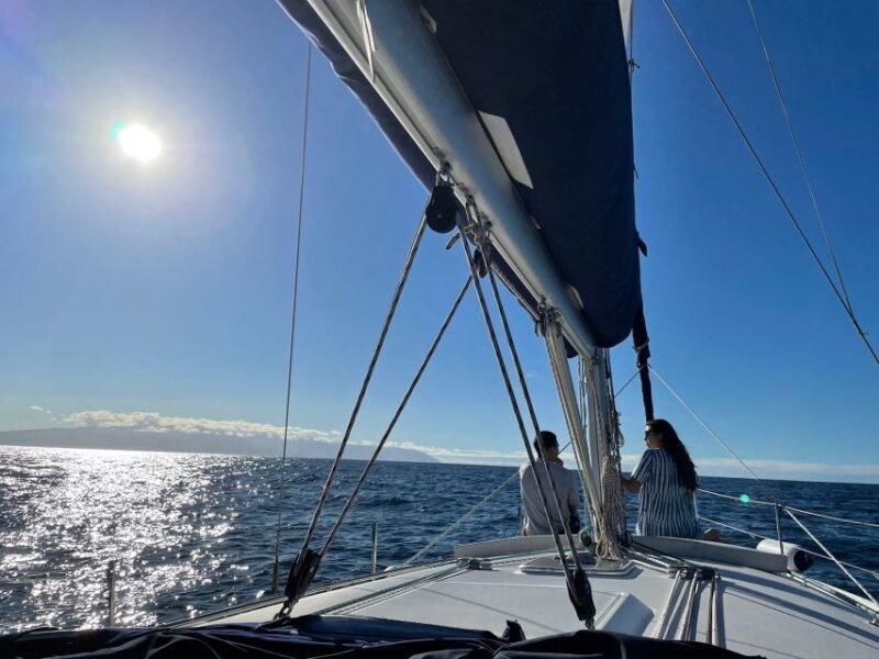 Los Gigantes: Private Sailing Tour with Swim, Drink, & Tapas - Practical Tips for a Smooth Experience
