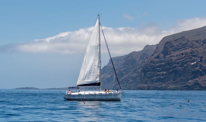 Los Gigantes: Private Sailing Tour with Swim, Drink, & Tapas - FAQs