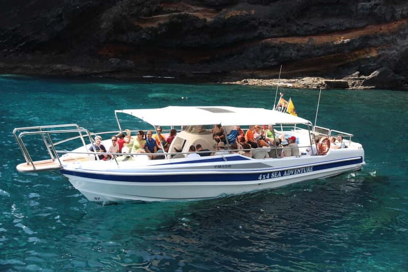 Los Gigantes: Whale or dolphin watching and swimming tour in Masca - Authentic Experiences and Genuine Highlights