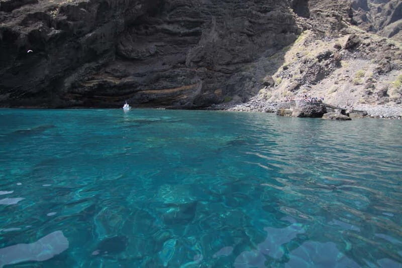 Los Gigantes: Whale or dolphin watching and swimming tour in Masca - Who Should Consider This Tour?