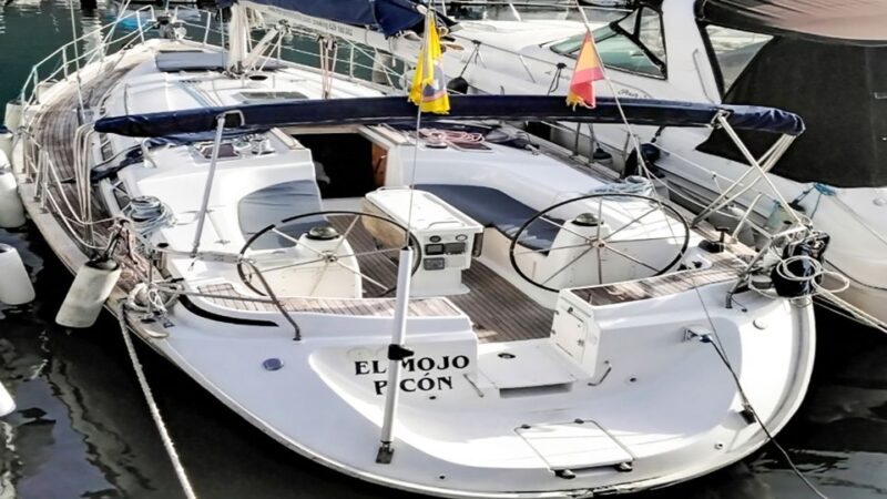 Los Gigantes: Whales and Dolphin Watching Cruise with Lunch - FAQ