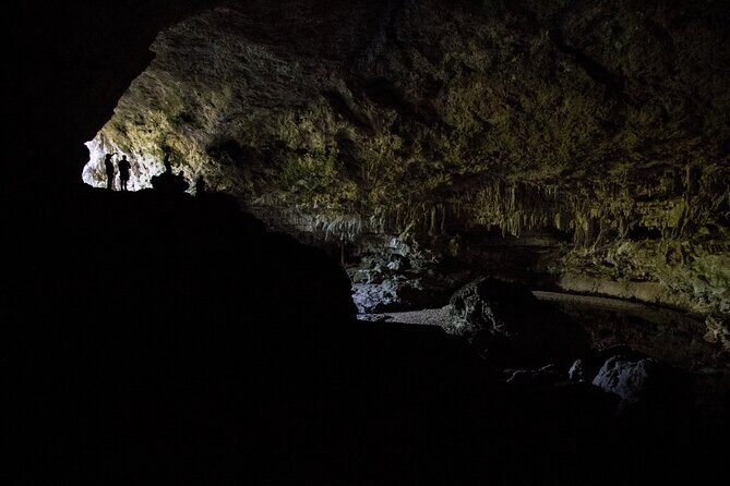 Los Haitises and Cayo Levantado Tour - Practical Details: What You Need to Know