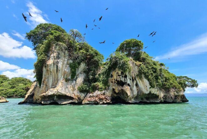Los Haitises Boat Ride and Caño Hondo Natural Pools - A Deep Dive into the Day’s Highlights