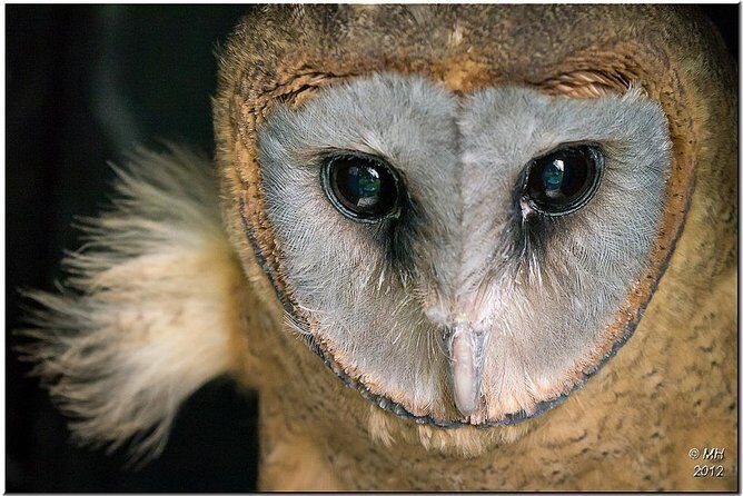 Los Haitises & Cayo Levantado (Lunch included, from Samana in Catamaran or Boat) - Exploring the Caves: A Window into the Taíno Past